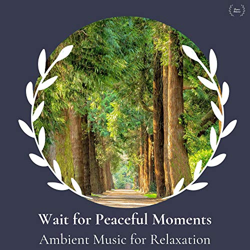Play Wait For Peaceful Moments - Ambient Music For Relaxation by ...