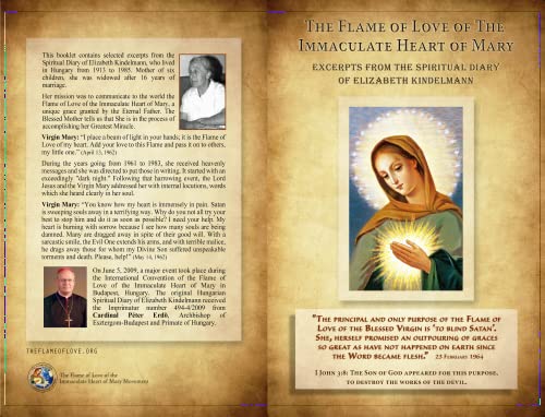 Amazon.com: The Flame of Love of the Immaculate Heart of Mary ...