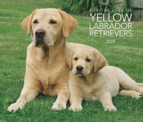For the Love of Labrador Retrievers, Yellow 2009 Calendar: Browntrout ...