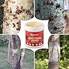 Amazon.com: Qualirey 17 oz Tree Banding Insect Barrier DIY, Large ...