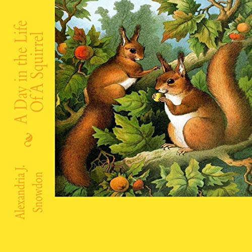 Amazon.com: A Day in the Life of a Squirrel (Audible Audio Edition ...