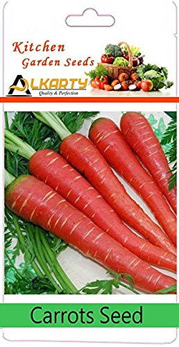 Carrot Starter Kit with Seed + growing Cups + growing Soil (20 seeds ...
