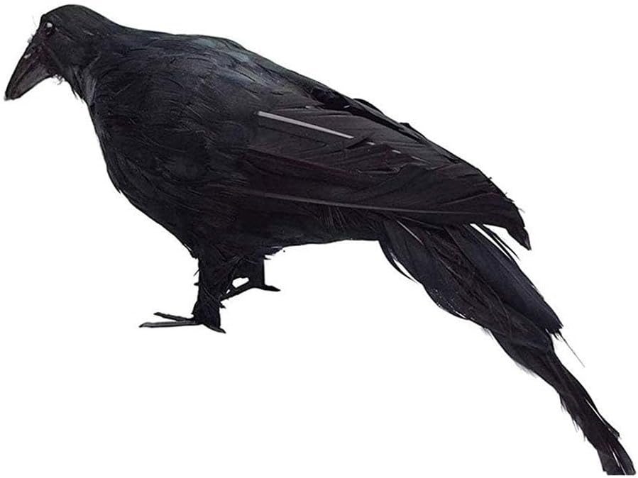 Amazon.com : WEBSUN Halloween Crow Decorations 5 Pack, Realistic ...