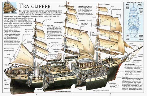 Look Inside Cross-section: Record Breakers (Look Inside Cross Section ...