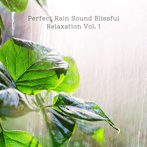 Amazon.com: Perfect Rain Sound Blissful Relaxation Vol. 1 : Rain In ...