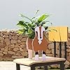 Amazon.com : Suitchoi Goat Gifts for Goat Lovers, Goat Decor Birthday ...