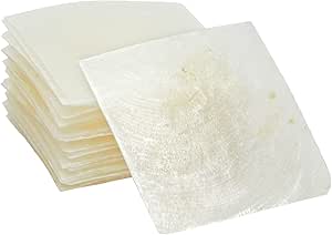 Amazon.com: 20 Pack Square Capiz Shells for Decoration, Wind Chimes ...