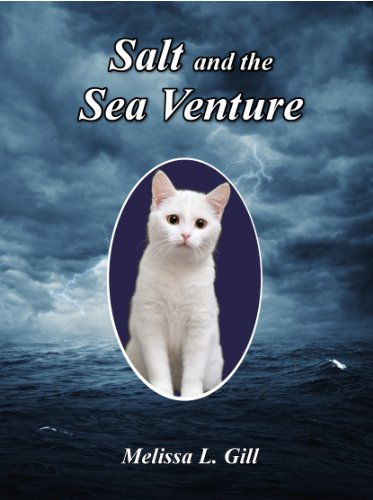 Book review of Salt and the Sea Venture - Readers' Favorite: Book ...