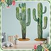 Amazon.com: 2 Pcs 6 Feet Large Boho Cactus Wall Decor Jointed Cactus ...