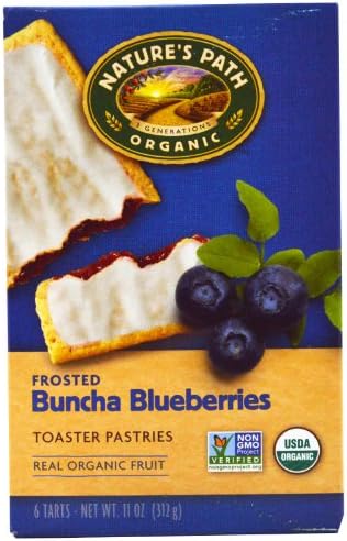 Amazon.com: Nature's Path Organic Toaster Pastries Blueberry Frosted ...