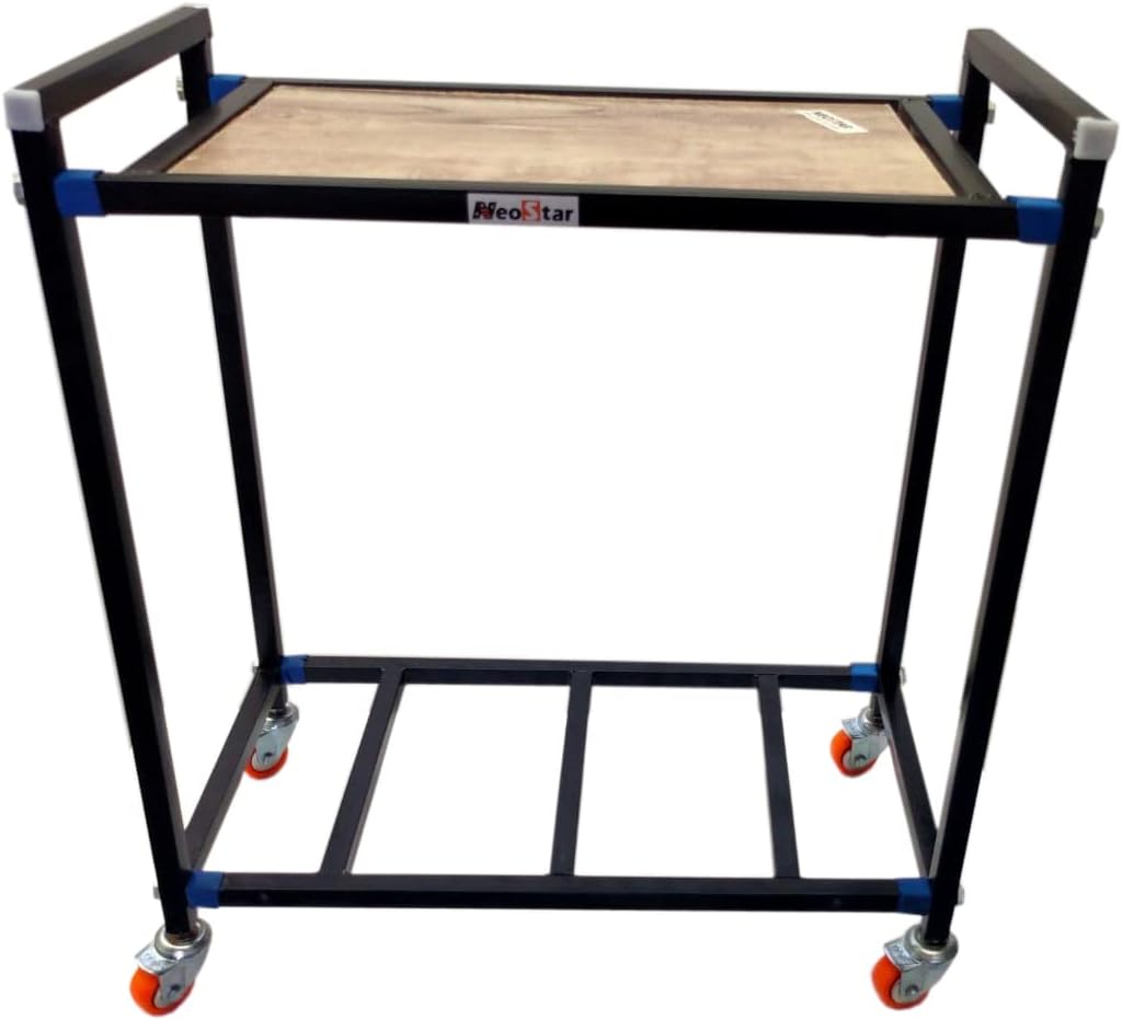 NEOSTAR Metal 2 in 1 (Stand and Wheels) Inverter Trolley/Stand (Black ...