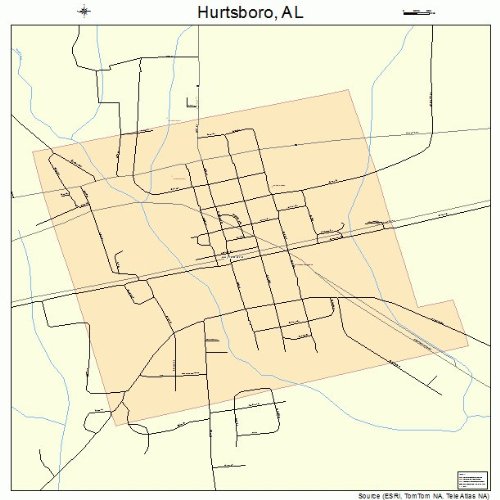 Large Street & Road Map of Hurtsboro, Alabama AL - Printed poster size ...