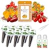 Amazon.com : Tomato Seed Pod Kit Mix of 5 Different Varieties of ...