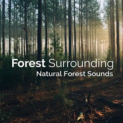 Forest Surrounding von Natural Forest Sounds bei Amazon Music Unlimited