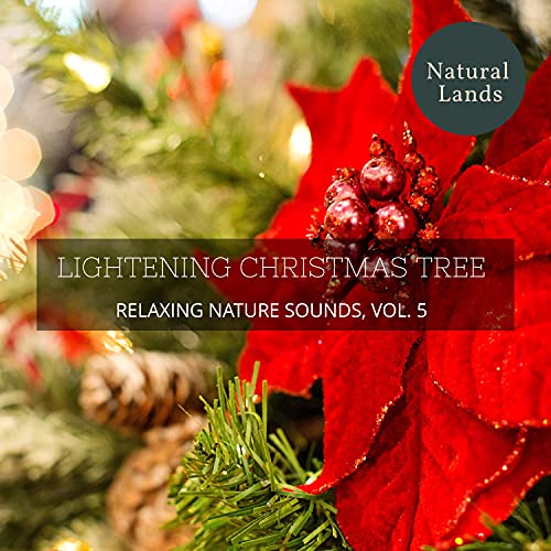 Amazon.com: Lightening Christmas Tree - Relaxing Nature Sounds, Vol. 5 ...