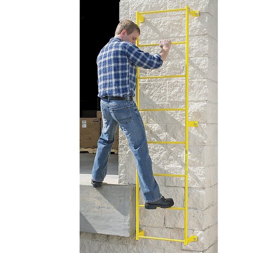 Side-Step Fixed Steel Access Ladder - 5 Rungs: Stepladders: Amazon.com ...