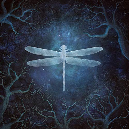 Play Odonata - 20th Anniversary Edition by Amethystium on Amazon Music