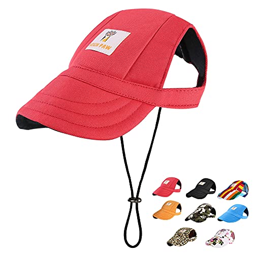 Best Waterproof Dog Hats for Ultimate Protection and Style - Totally ...