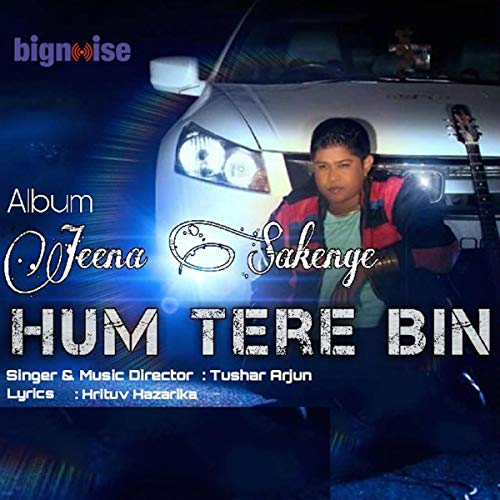 Hum Tere Bin von Tushar Arjun bei Amazon Music - Amazon.de
