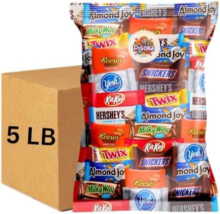 Amazon.com: Bulk Variety Pack of Fun Size Chocolate Candy ...