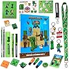Amazon.com: Minecraft Advent Calendar 2025 for Boys with 24 Items ...