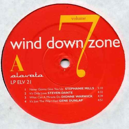 Wind Down Zone Vol.7 : Amazon.es: CD y vinilos}