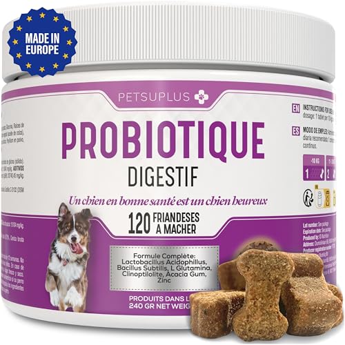 Probiotique Pour Chien – Les 15 meilleurs produits dans la comparaison ...