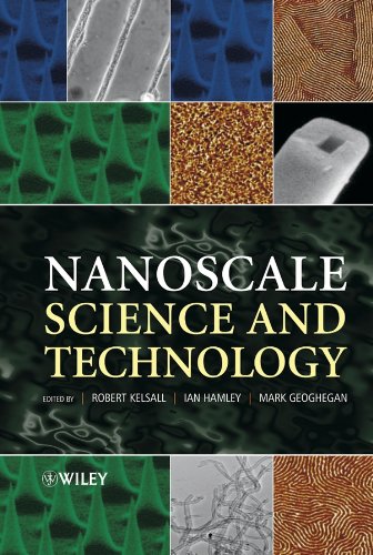 Amazon | Nanoscale Science and Technology (English Edition) [Kindle ...