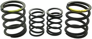 Amazon.com: XLJOY Exhaust Inlet Valve Springs for zongshen Z155 Engine ...
