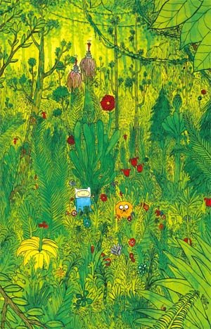 Adventure Time Summer Special 2013 #1 Phil McAndrew 1:15 Virgin Variant ...