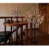 Amazon.com: Hairui Lighted Gypsophila Tree 4FT 90 LED Artificial Baby ...