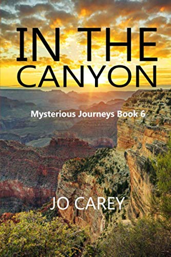 Amazon.com: In the Canyon: 9781948716567: Carey, Jo: Books