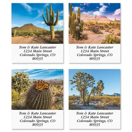 Amazon.com : In The Desert Square Return Address Labels (4 Designs ...