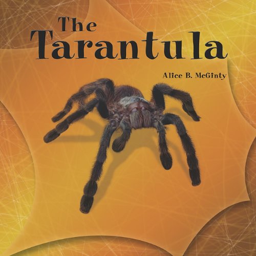The Tarantula (The Library of Spiders): McGinty, Alice B ...