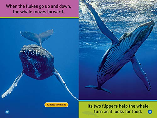 Explore the World with National Geographic Kids