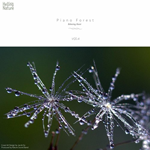 Piano Forest, Vol. 4 by Nature Sound Band on Amazon Music - Amazon.com
