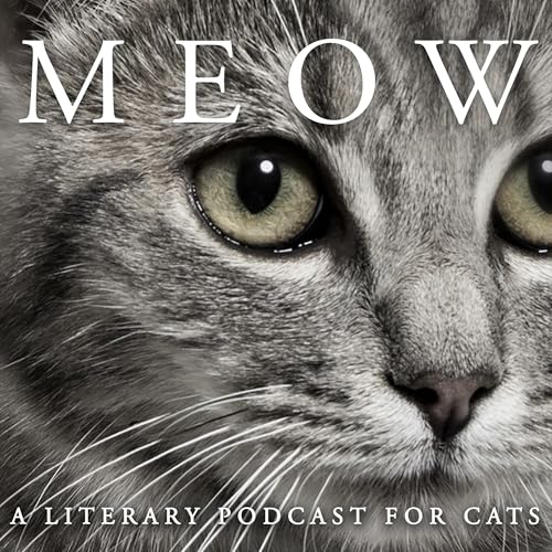Amazon.com: MEOW: A Literary Podcast for Cats : The Meow Library ...