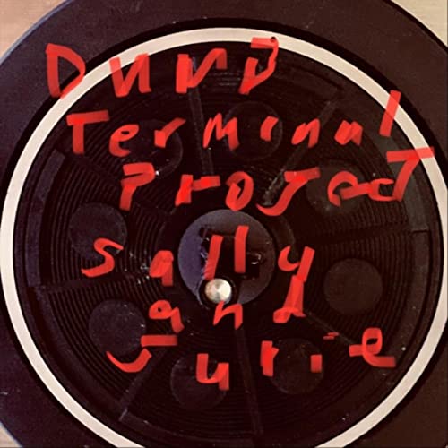 Play Sally & Julie by Dumb Terminal Project on Amazon Music