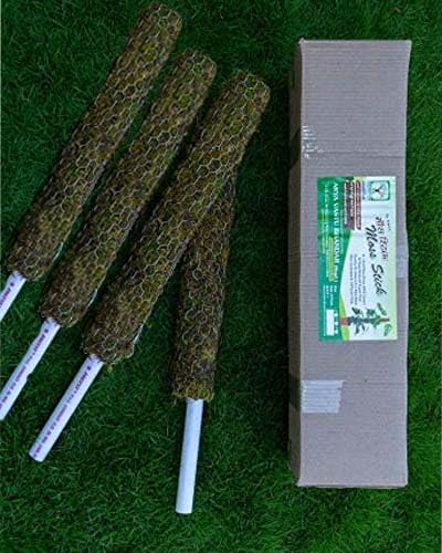 DR ARYA Moss Stick | Mesh Moss Stick | Moss Stick for Plant | Climbing ...