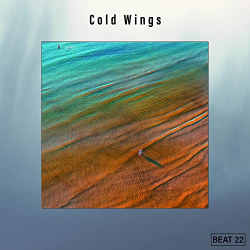 Amazon MusicでVARIOUS ARTISTSのCold Wings Beat 22を再生する