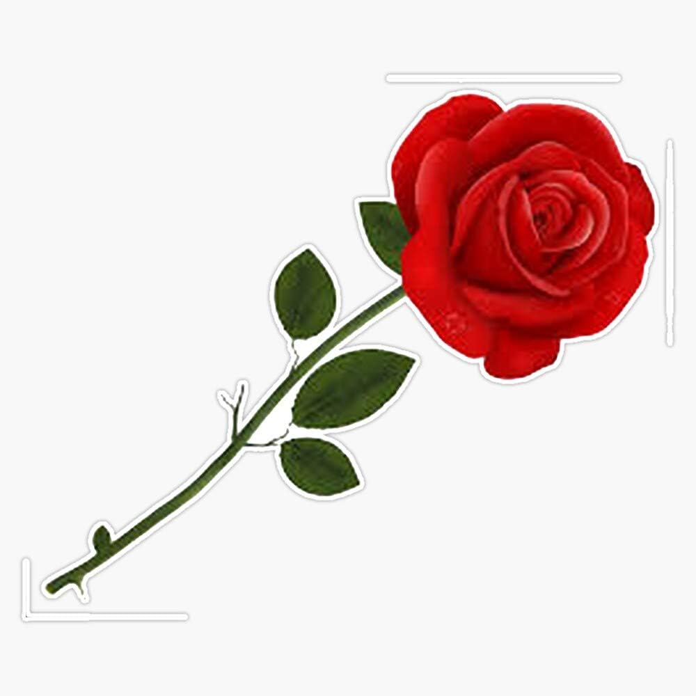 Amazon.com - Red Rose Vinyl Waterproof Sticker Decal Car Laptop Wall ...