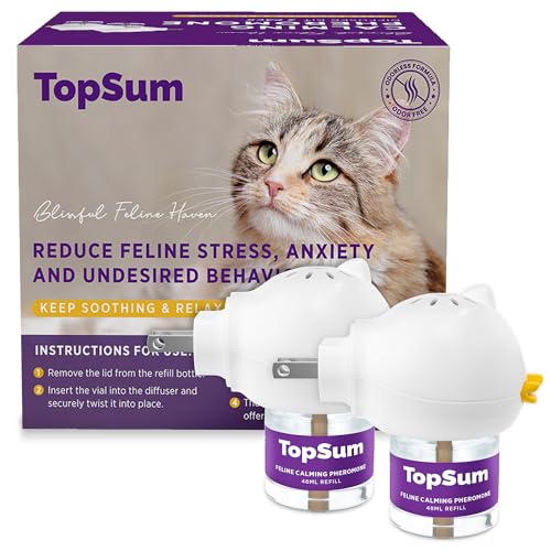 Cat Calming – The 15 best products compared - Wild Explained