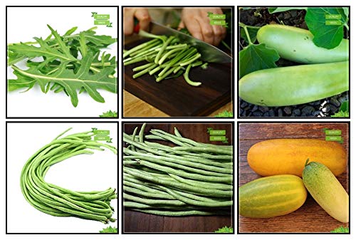 Creative Farmer Plant Lovers Combo Herb Seeds & Vegetable Seeds ...