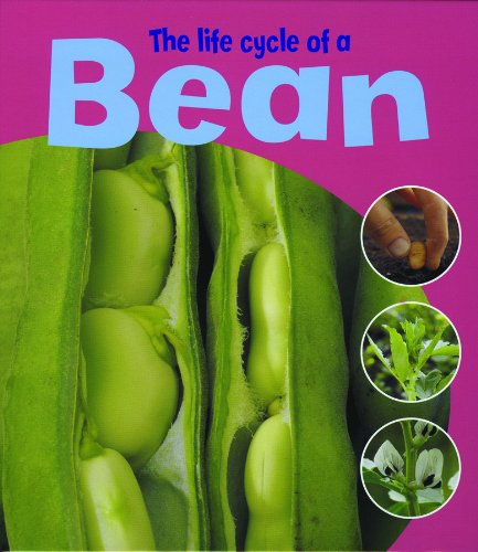 The Life Cycle of a Bean (Learning About Life Cycles): Thomson, Ruth ...