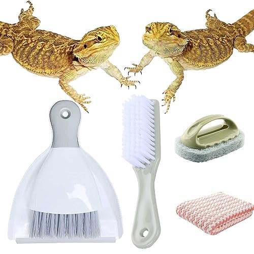 Revamp Your Reptile Habitat With Reptile Cleaning Tools Kit On TellGrade