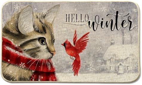 Amazon.com: SLEEPBED Winter Cardinal Bird Front Door Mat Indoor Outdoor ...
