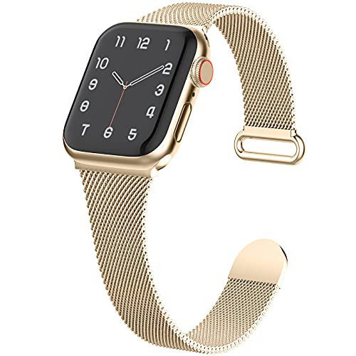 Top 10 Best Mesh Apple Watch Band : Reviews & Buying Guide - Katynel