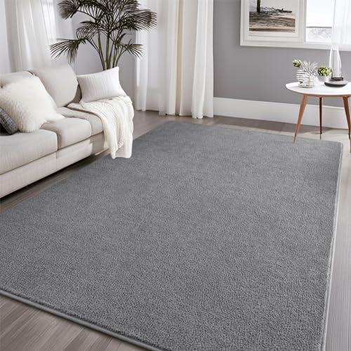 Amazon.com: Nuttumico Large Modern Area Rugs for Bedroom Living Room ...