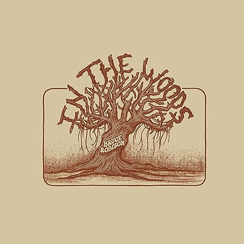 Play Never Say Never by Bruce Robison on Amazon Music