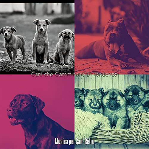 Amazon.com: Cani che Camminano Di Tendenza : Musica per Cani Retro ...